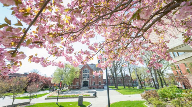 Graduate Pathway Program | American Language and Culture Institute ...