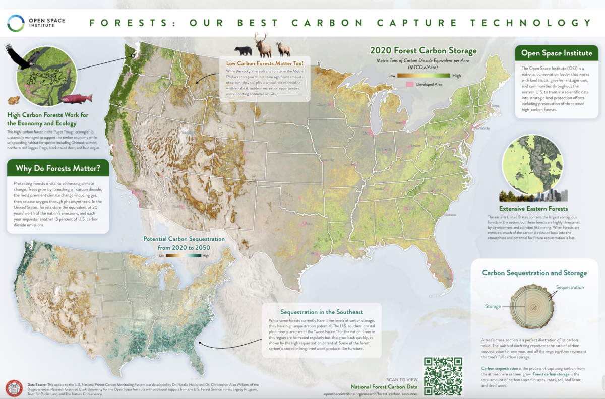 ESRI competition selects Clark lab’s forest carbon map as finalist ...