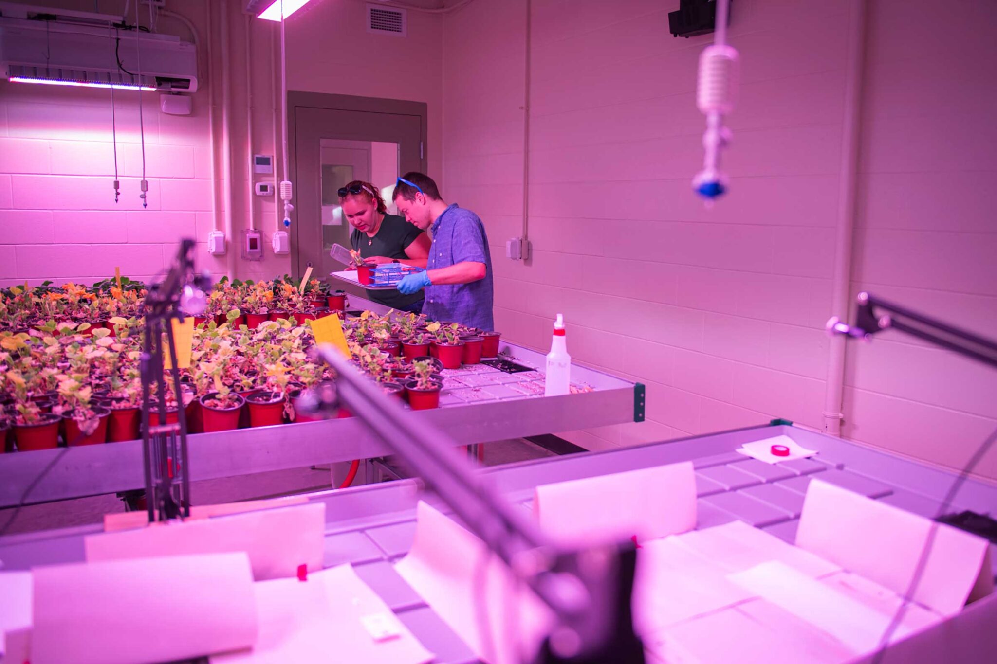 4+1 Accelerated Master's Degree | Programs | Clark University