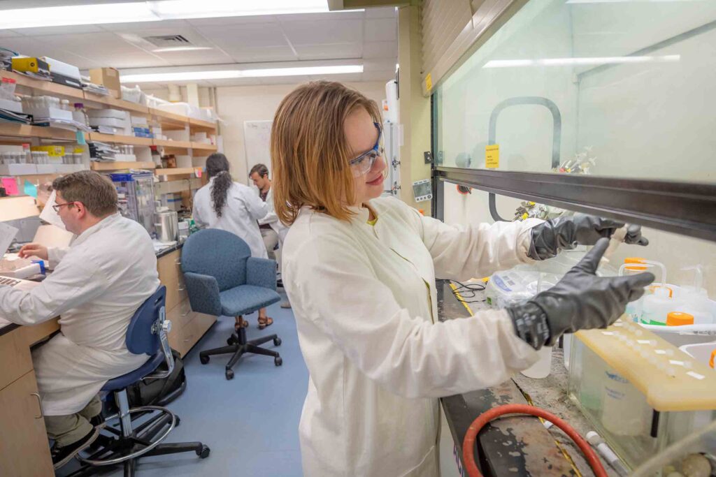 4+1 Accelerated Master's Degree | Programs | Clark University