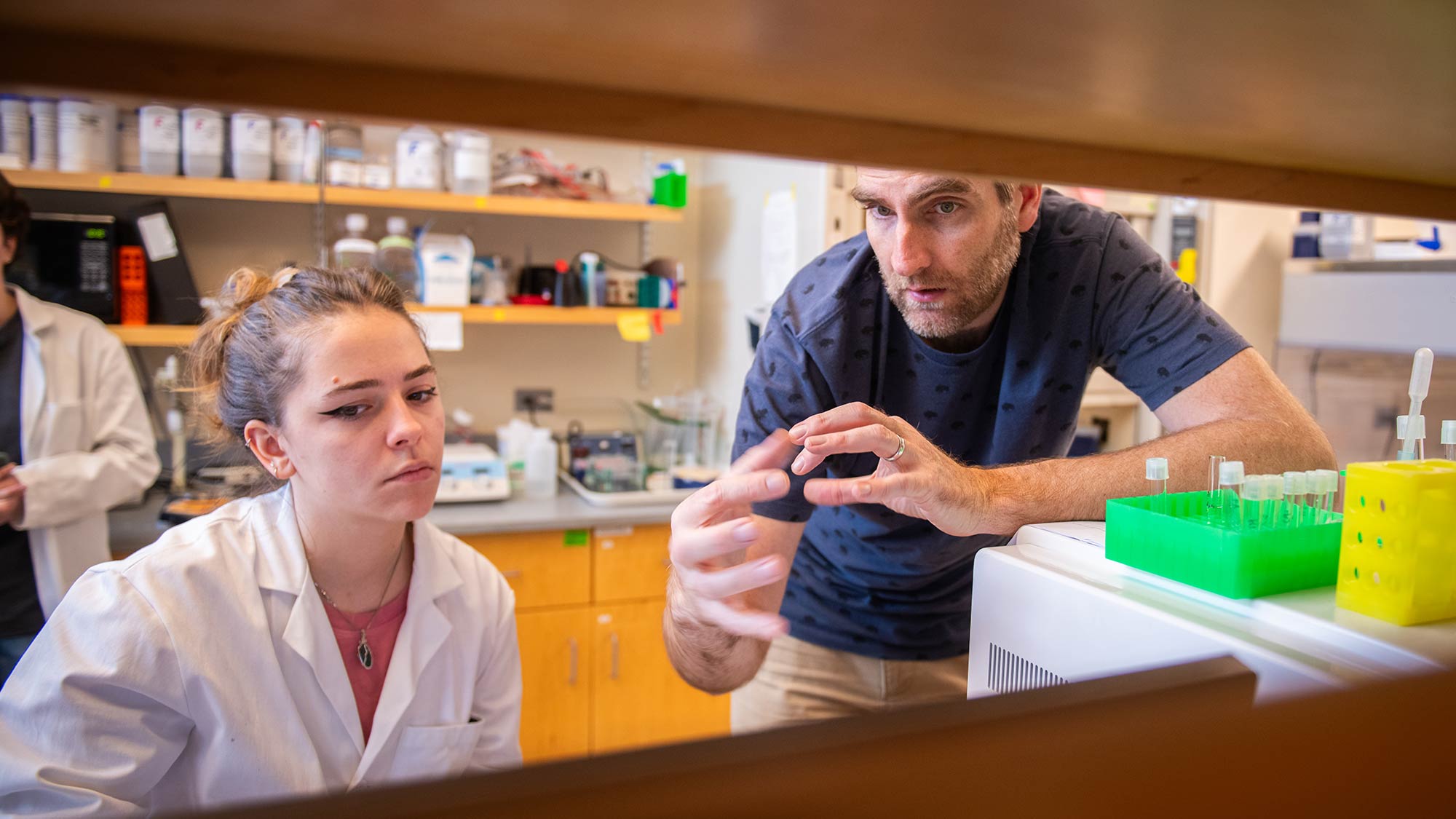 How phytoplankton helps us breathe | Clark University | Clark University